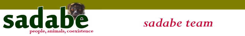 Sadabe - Team