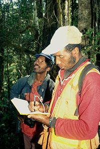 Study Abroad 2019 Projects